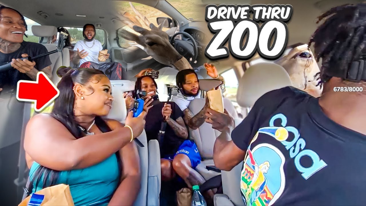 DRIVE THRU ZOO🐴🔥 - YouTube