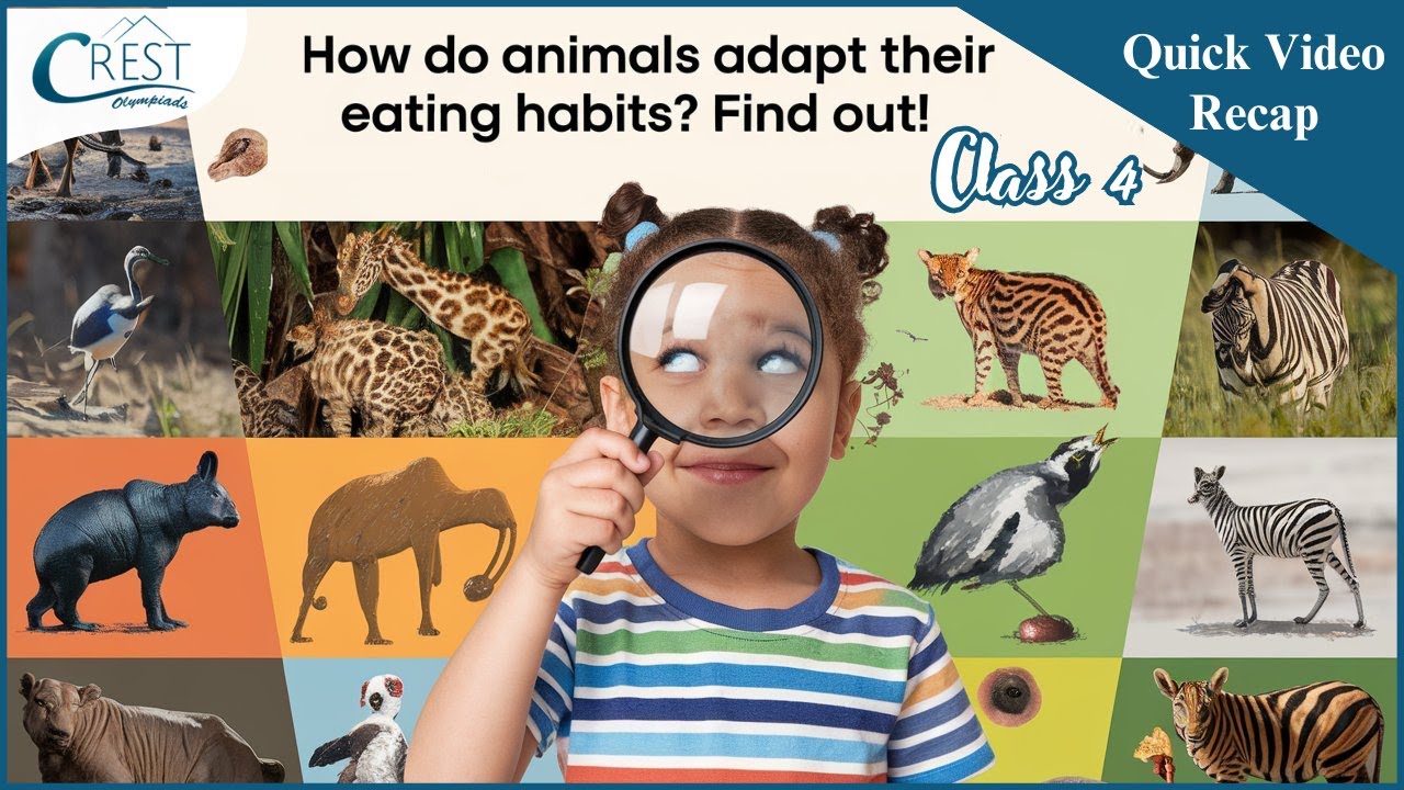 Adaptation in Animals by Eating Habits | Class 4 Science Olympiad ...