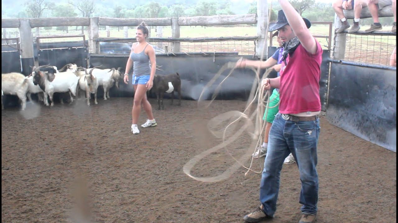 Goat Rodeo - YouTube