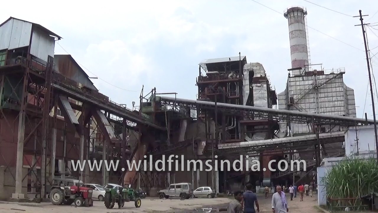 Flood causes inconvenience to sugar factory workers in Gopalganj, Bihar ...