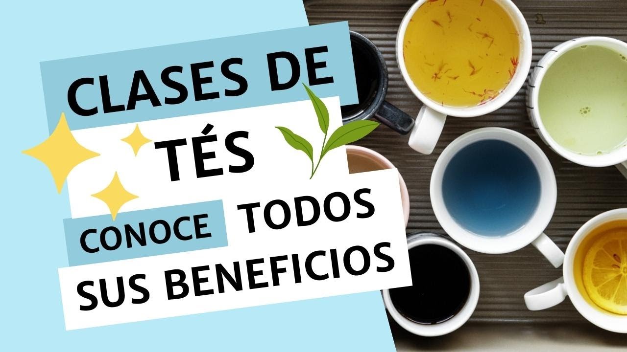 💚 CLASES de TÉ 🍂🍵🍃 Conoce TODOS sus BENEFICIOS 👌 - YouTube