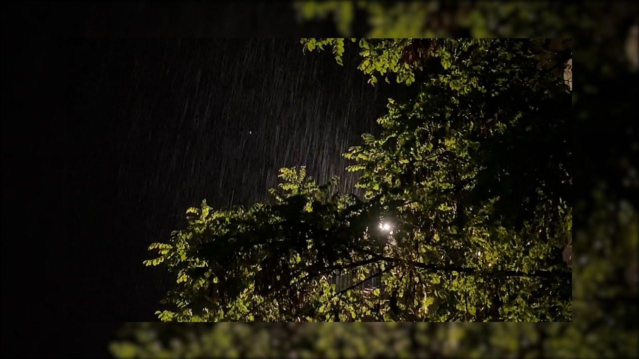 FREE AMBIENT LOOP KIT "ALLIANCE" (14 LOOPS LUCKI, AMBIENT, IAYZE, TANA, SOFAYGO, IZAYA TIJI ...