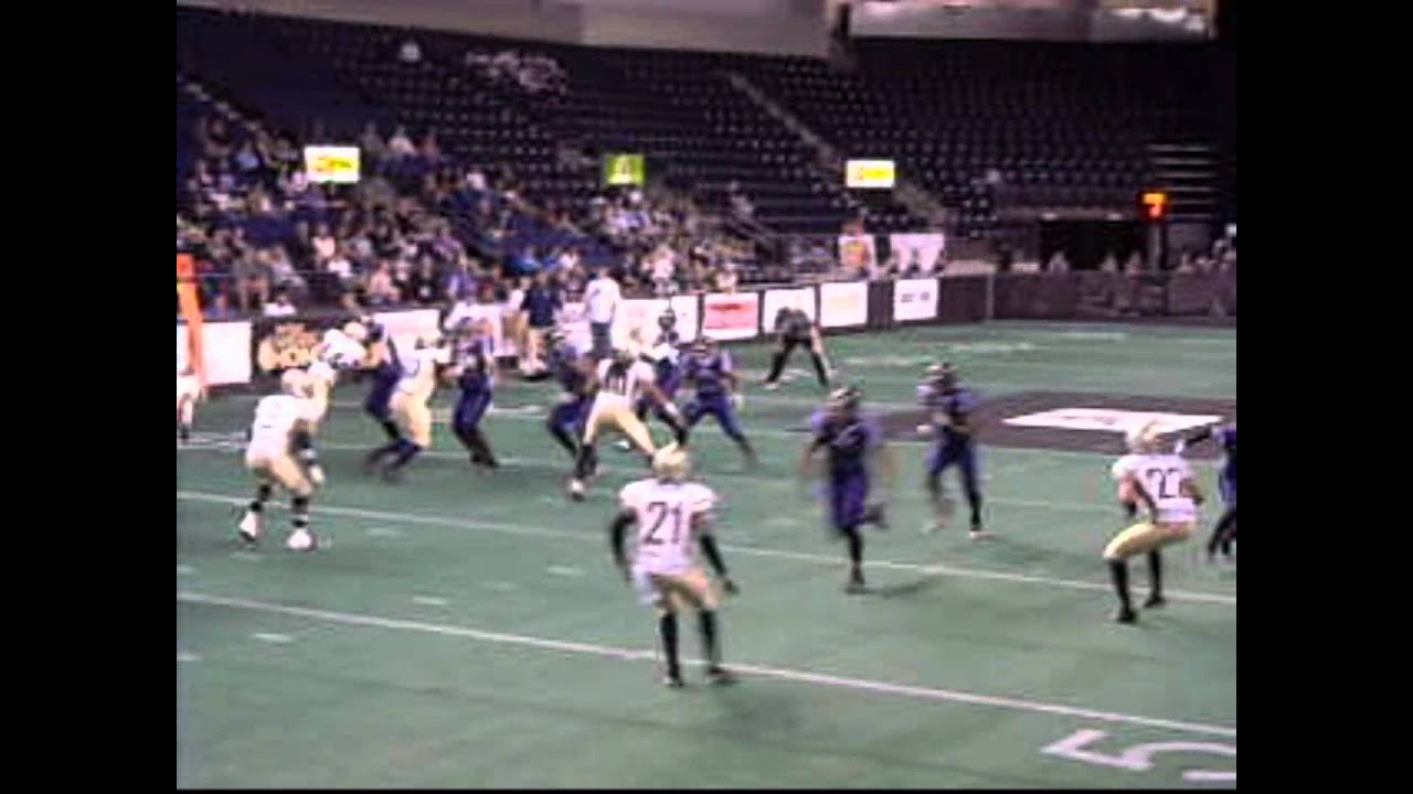 The Pug's Thoughts in The Doghouse Vlog: Seattle Timberwolves vs. Tri ...