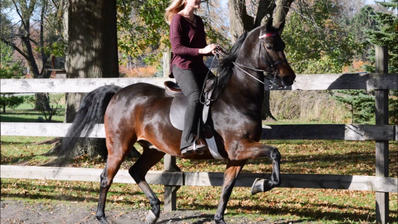 Roger Movie MPEG - YouTube