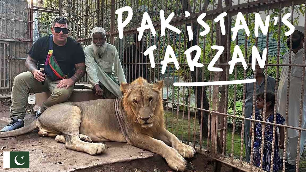 I Went Inside a Lion’s Cage in Pakistan’s Wild Backyard! 🇵🇰 - YouTube