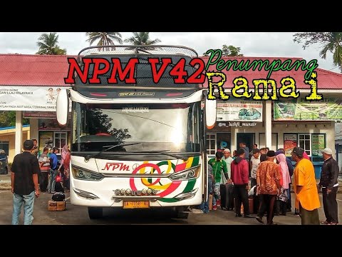 NPM V42 DIKERUMUNI PENUMPANG | ENAM BUS START DARI TERMINAL KOTO NAN ...