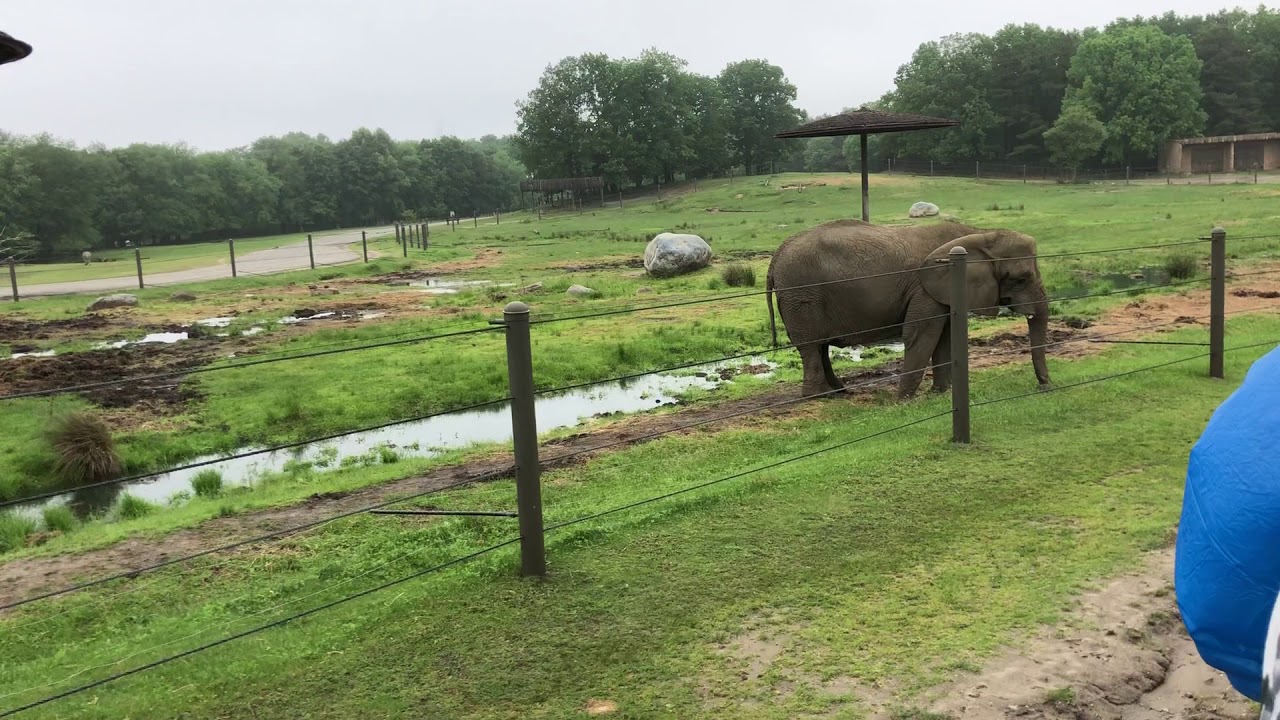 Six Flags Great Adventure //Safari 5 - YouTube