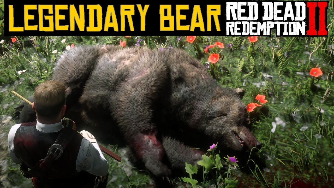 Legendary Bear Hunt | Red Dead Redemption 2 - YouTube