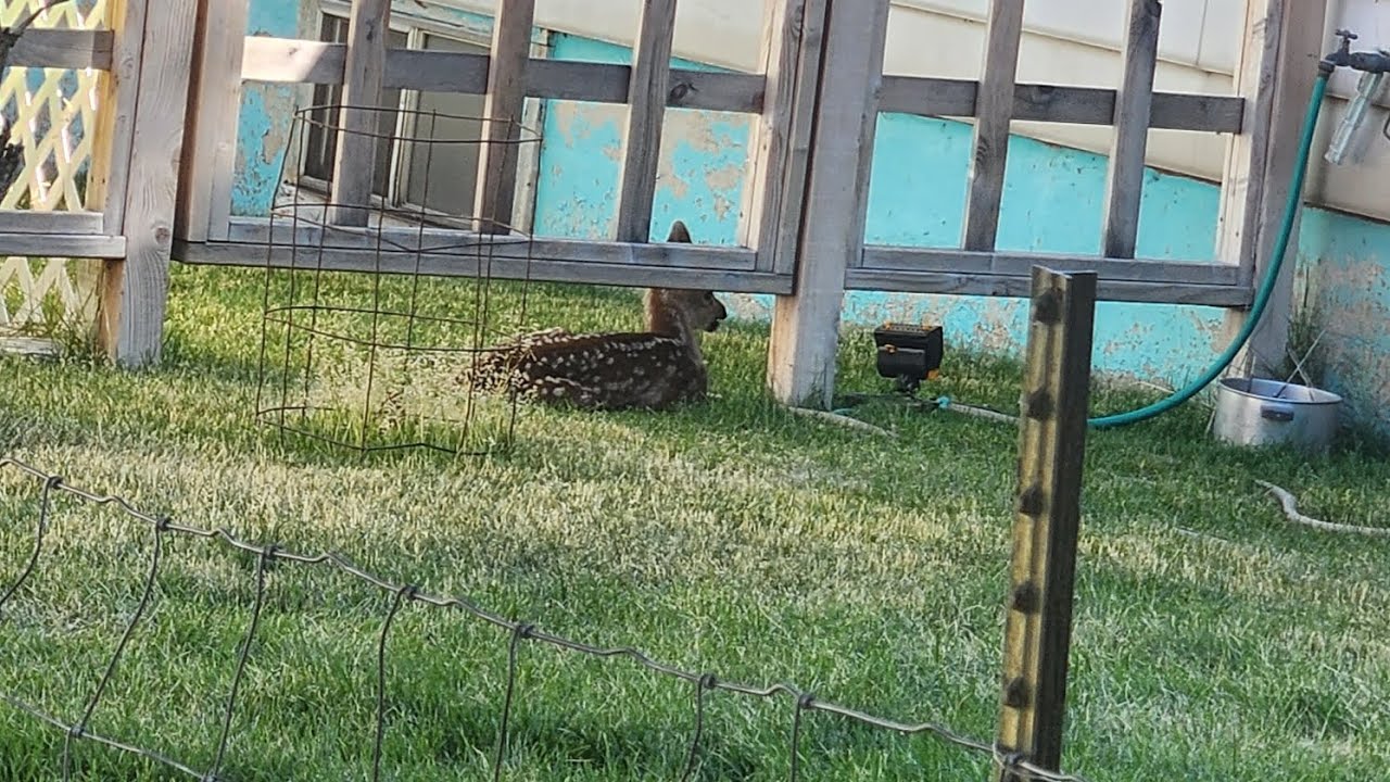 quadrobics tutorial with luna - YouTube