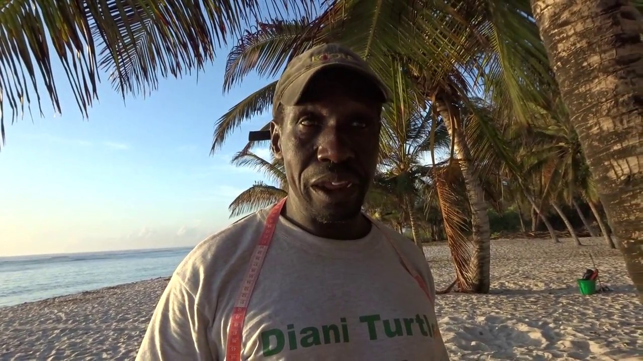 How one old man saves Green Turtles on Diani Beach in Kenya - YouTube