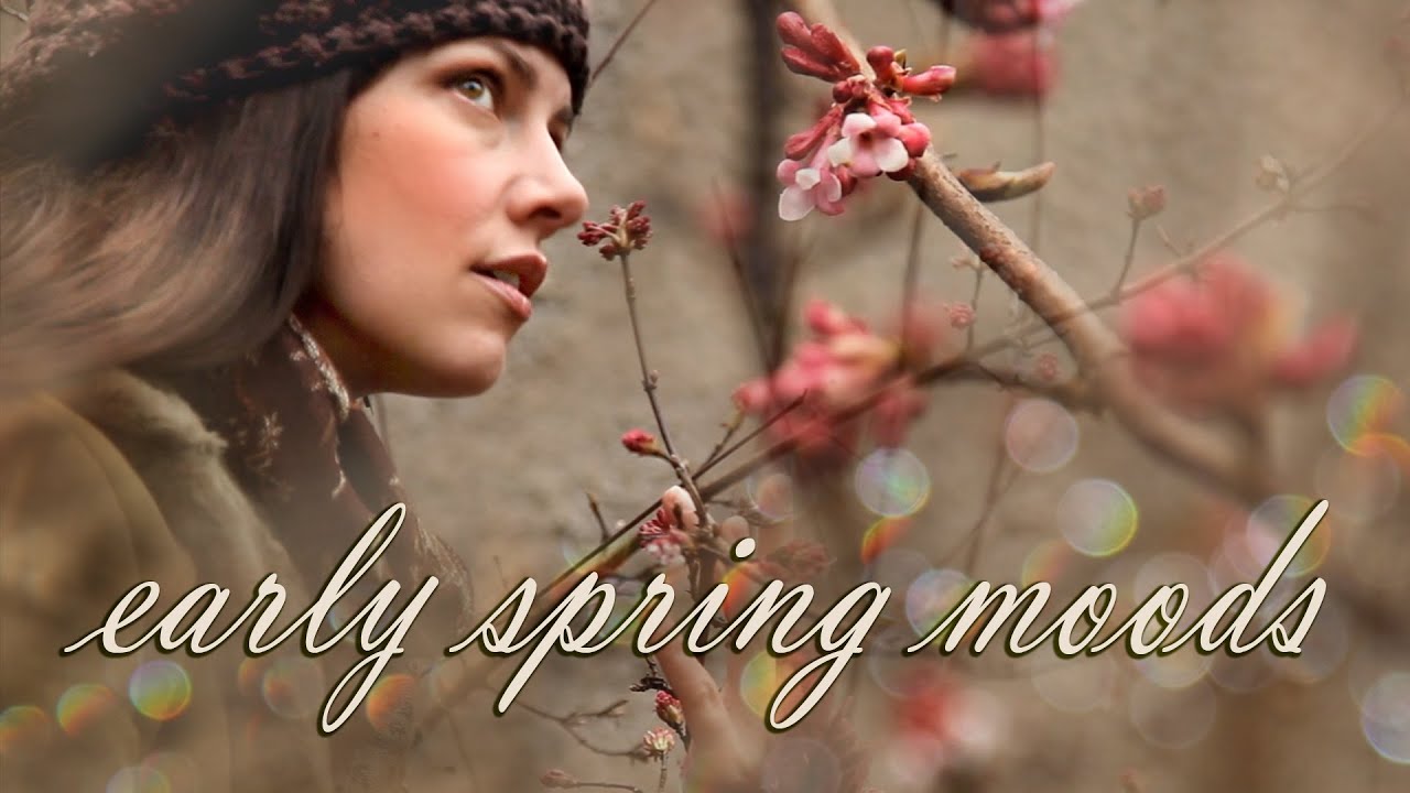 Early Spring Mood 🌷 snippet #asmrsound #relaxmusic #frühling # ...