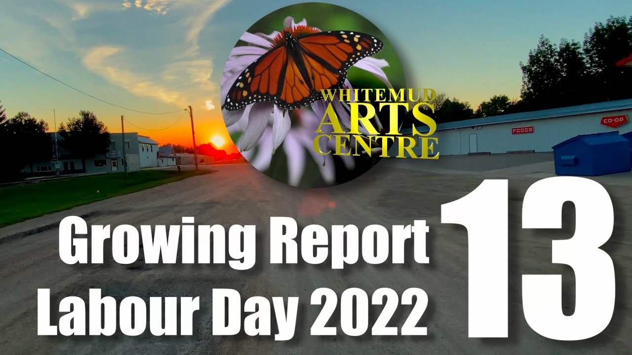 WAC Growing Report #13 Labour Day 2022 - YouTube