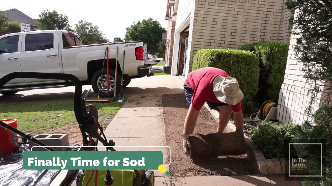 Bermuda Sod Installation Part 2 - YouTube