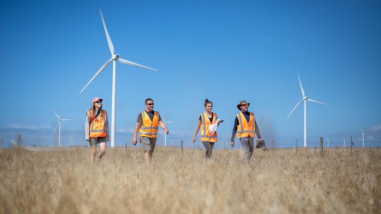 Musselroe Wind Farm wombat research - YouTube