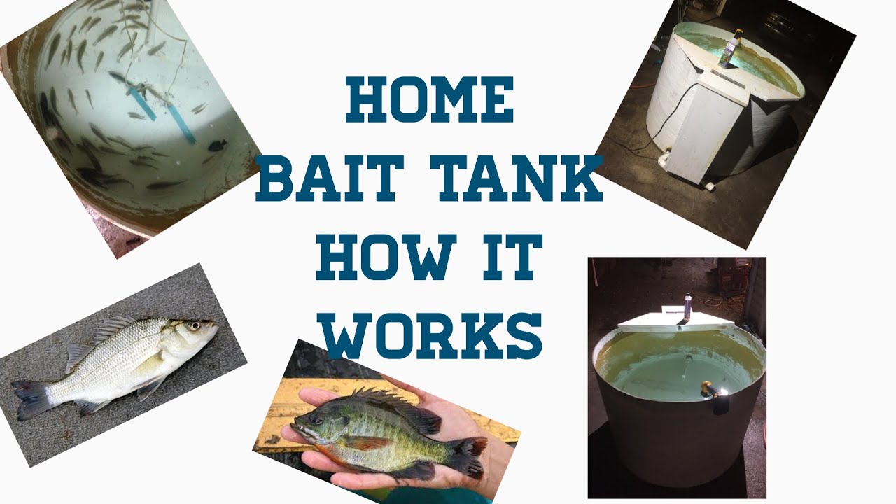 MY HOME BAIT TANK/ LIVEWELL HOW IT WORKS - YouTube