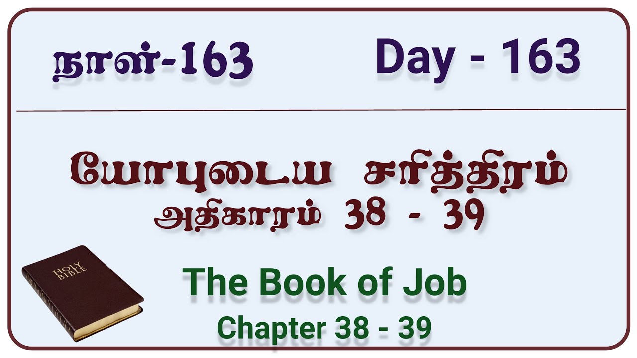 Day 163 Job Chapter 38 39 Job day-163-job-chapter-38-39-job