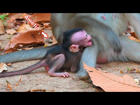 Adorable baby Amelia is very upset as her mother Anna refuses to let her drink milk all day