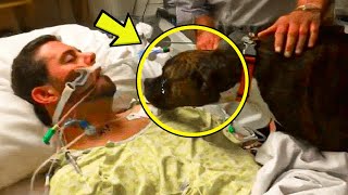 A Dying Man Says His Final Goodbye To His Dog The Dog S Reaction Will ...