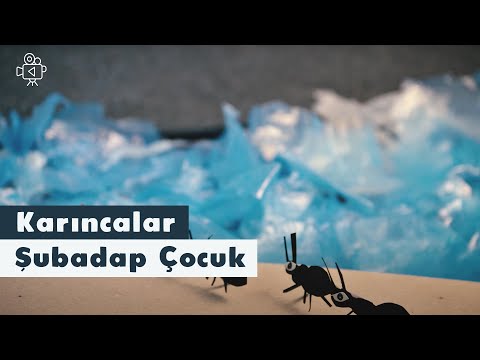 Karıncalar | Video | Şubadap Çocuk