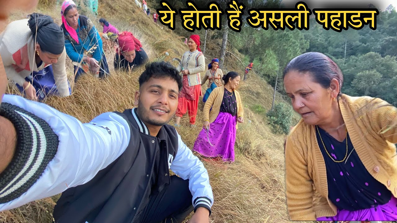 जंगल में ख़तरों से खेलती है घसेरी ॥UTTARAKHAND ॥ PAHADAN ॥ PAHADIBOY23 - YouTube