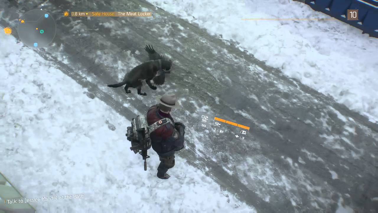 The Division: Dog Eats Bird - YouTube