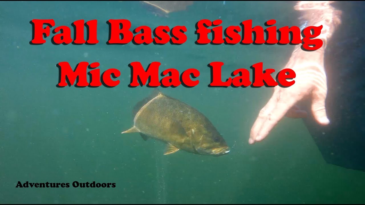 Fall Bass fishing Mic Mac Lake, Dartmouth Nova Scotia - YouTube