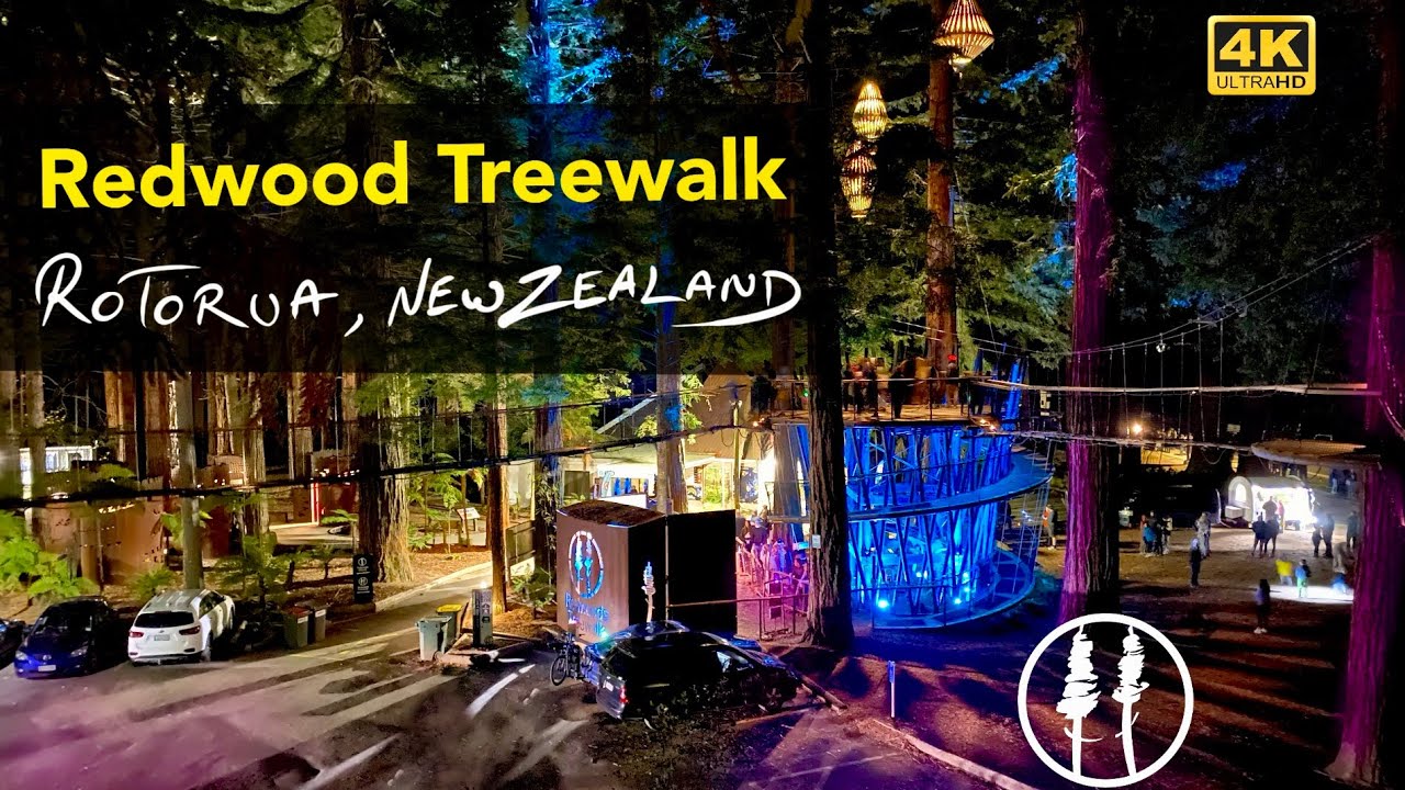 Redwoods Treewalk | Rotorua New Zealand | 4k | day and night experience ...