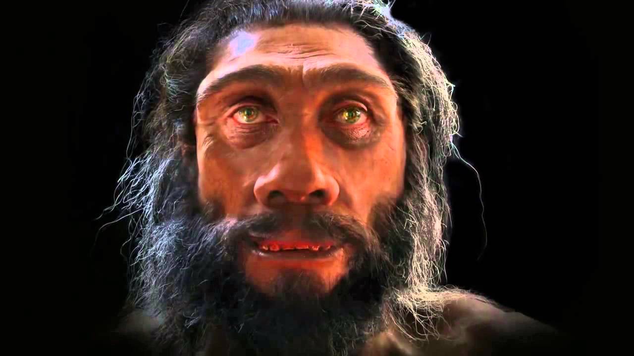 Shaping Humanity: A Visualization of Human Evolution Through the Years ...