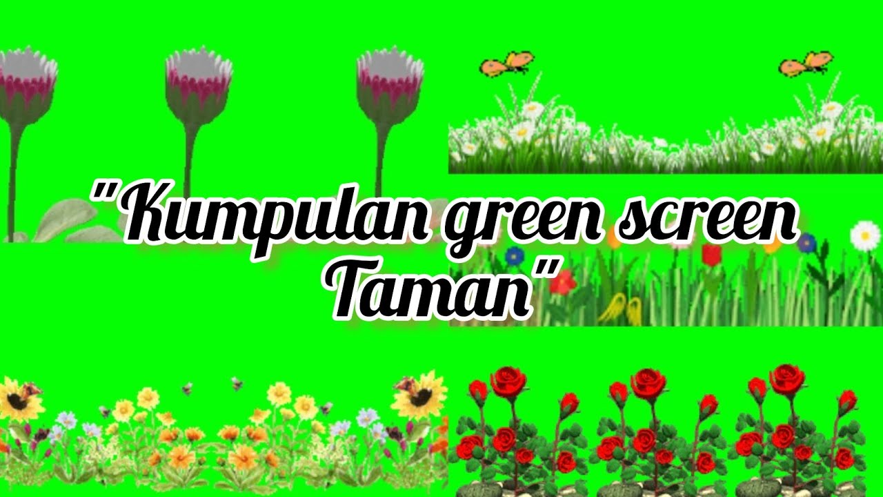 kumpulan green screen taman || taman #greenscreenbergerak #greenscreen ...