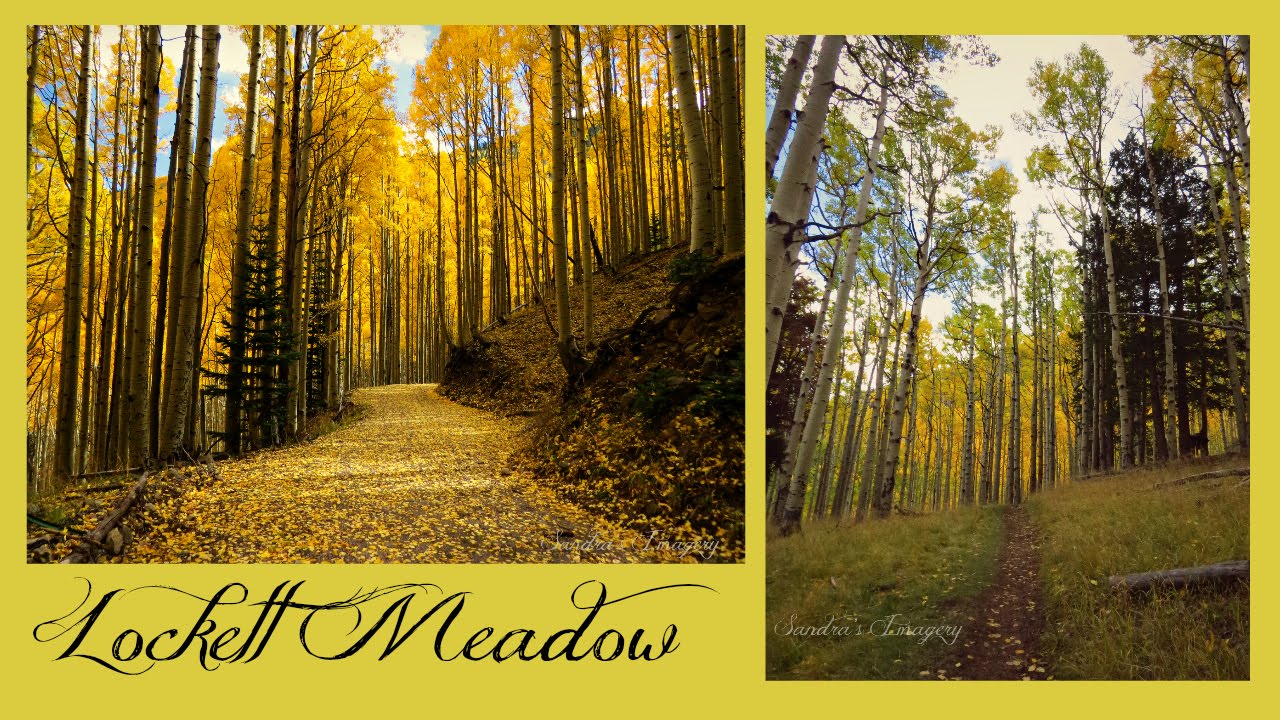 Hello Fall - Lockett Meadow - YouTube