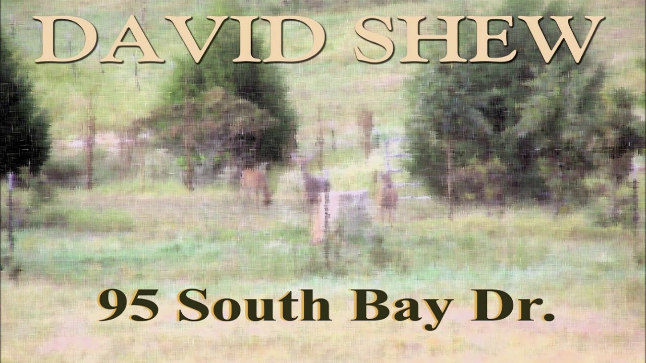 David Shew-A Better Place - YouTube