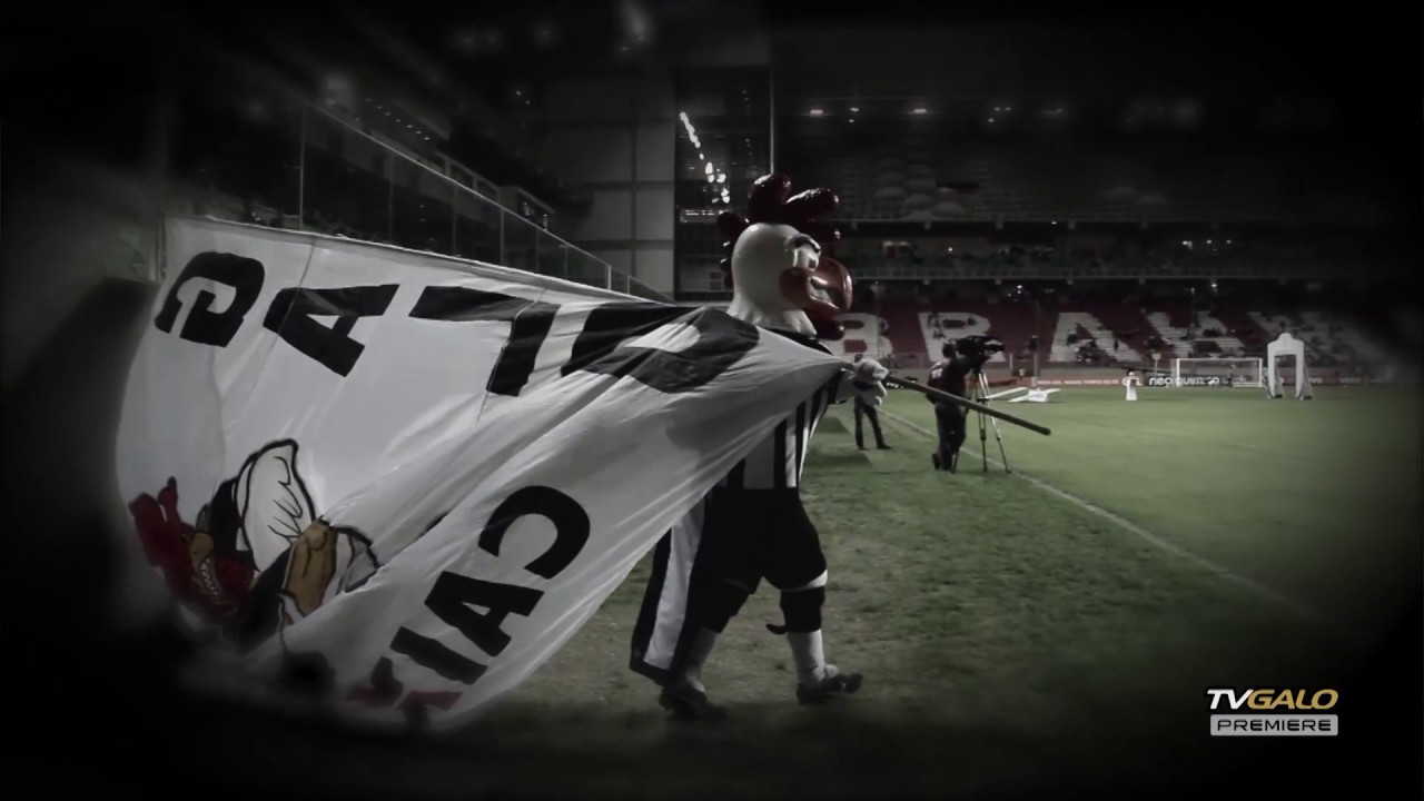 TV Galo Premiere: Clipe - Galo Doido - YouTube