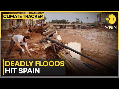 Spain Floods: Deadly Floods Hit Spain As Torrential Rains Trigger Widespread Flooding | WION