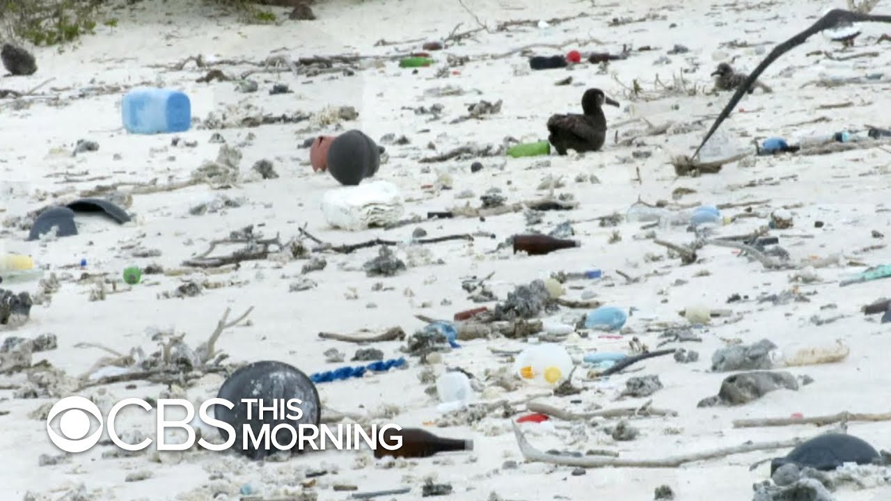 Ambitious effort to clean up "great Pacific garbage patch" gets ...