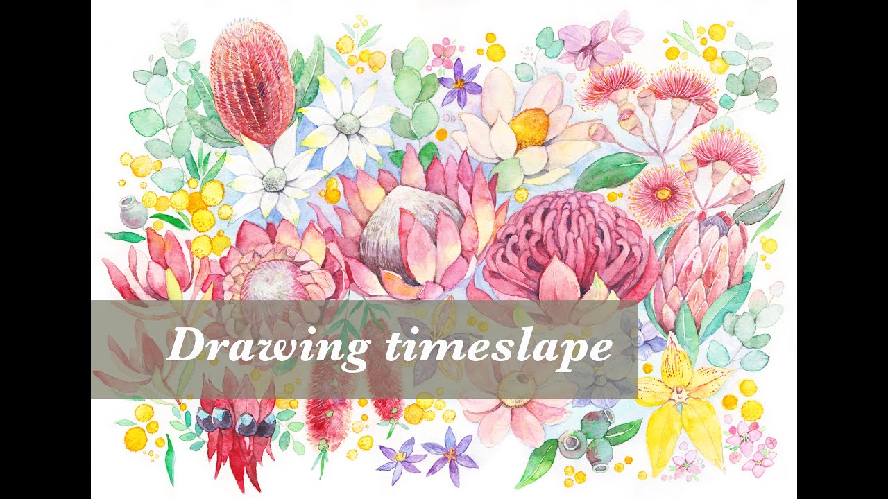 Australian native plants' watercolour drawing - YouTube