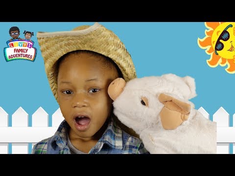 Eski MacDonald Bir Çiftlik Oldu 🎵 | Kreş Rhyme | Çocuk Şarkıları | Livy'nin Aile Maceraları