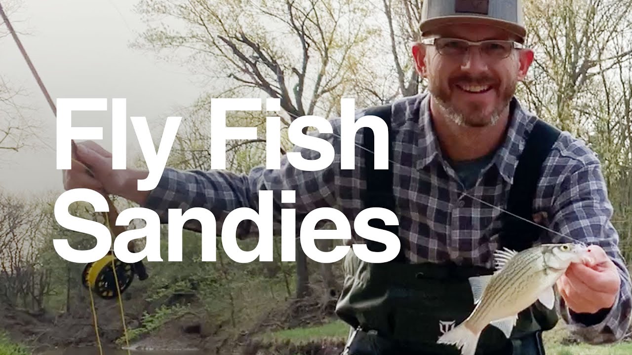 Fly Fishing The Sand Bass Run - YouTube