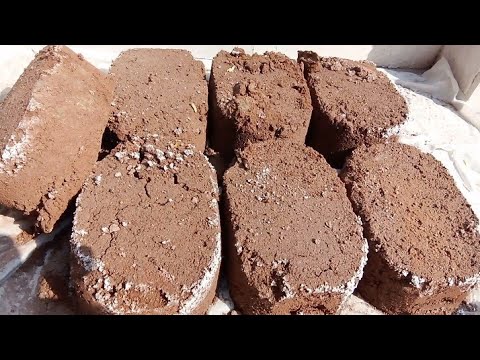 Red Brick and Charcoal Mixture Damp Crumbling#asmrcommunity - YouTube
