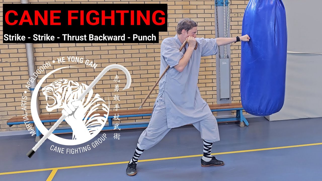 Walking Stick Selfdefense: Strike - Strike - Thrust Backward - Punch ...