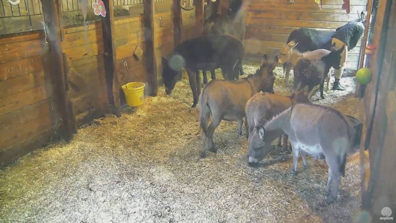 TLC time Janine am 10062016 - YouTube