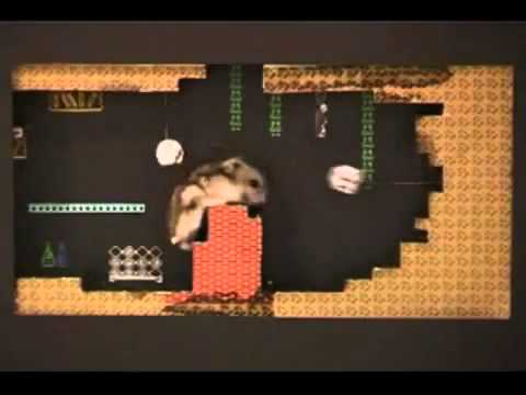 Super mario hamster world *1* - YouTube