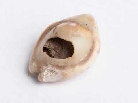 Taforalt Morocco - YouTube