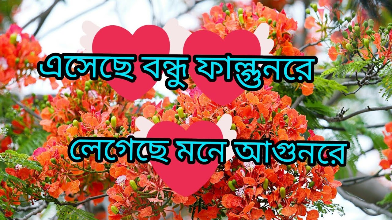 ভালোবাসার মেসেজ |প্রেমিকার মন ভালো করার sms|Valobashar sms|রোমান্টিক ...