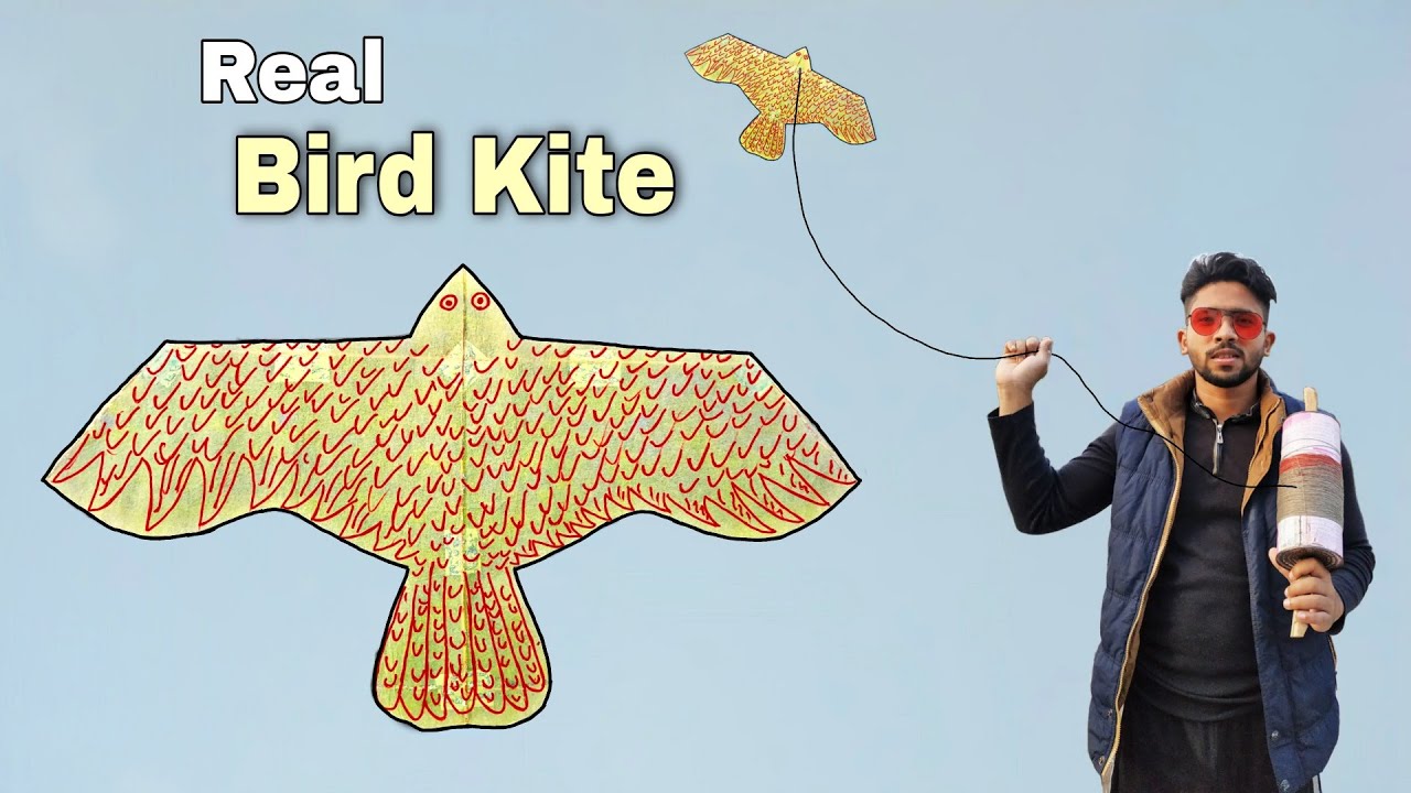 How To Make Real Bird Kite | চিল ঘুড়ি বানানো | Eagle Kite Making - YouTube