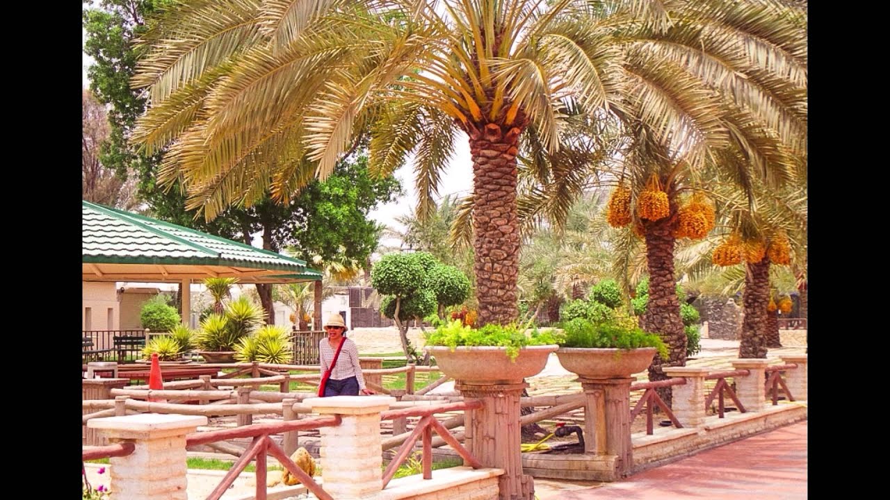 Al Areen Wildlife Park - YouTube