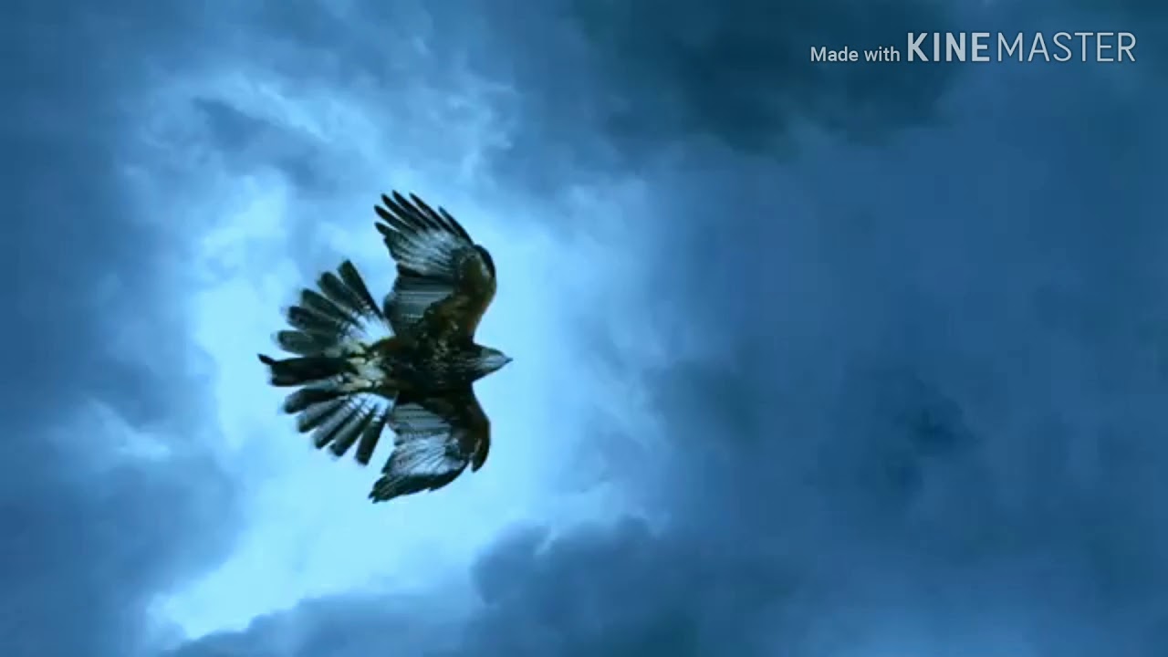 THE BATTLE HAWKS PROMO - ST LOUIS XFL FRANCHISE - YouTube