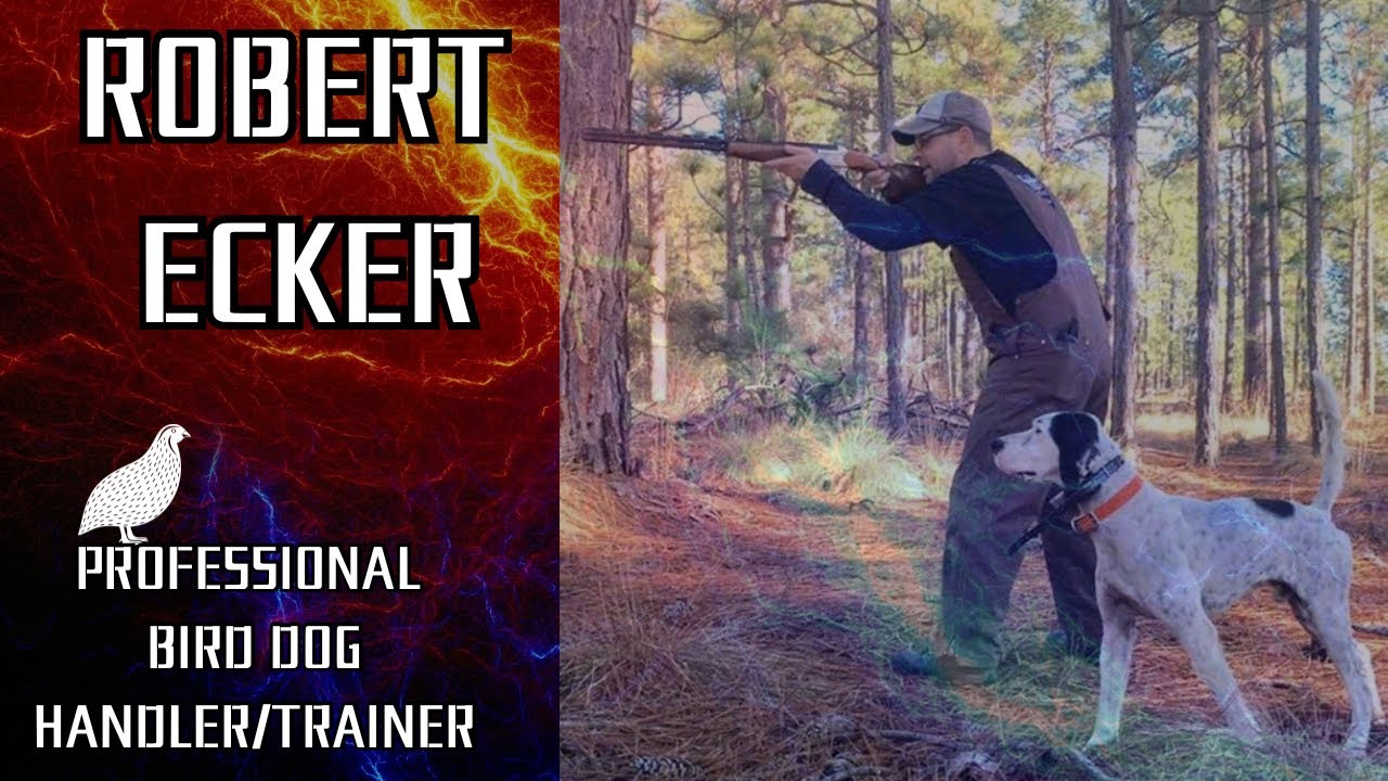Attention all hunters, bird dog hunters, and trainers! Over 150 ...