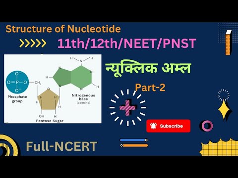 न्यूक्लिक अम्ल ( Part-2 ) | Nucleotide की संरचना | DNA | 11th | NEET ...