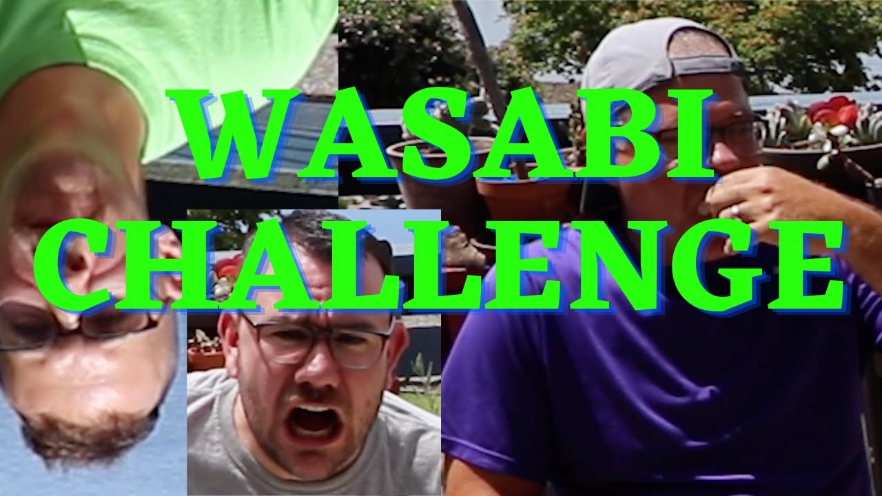 Wasabi Challenge 200 Subscriber Celebration Extravaganza!!!!! - YouTube