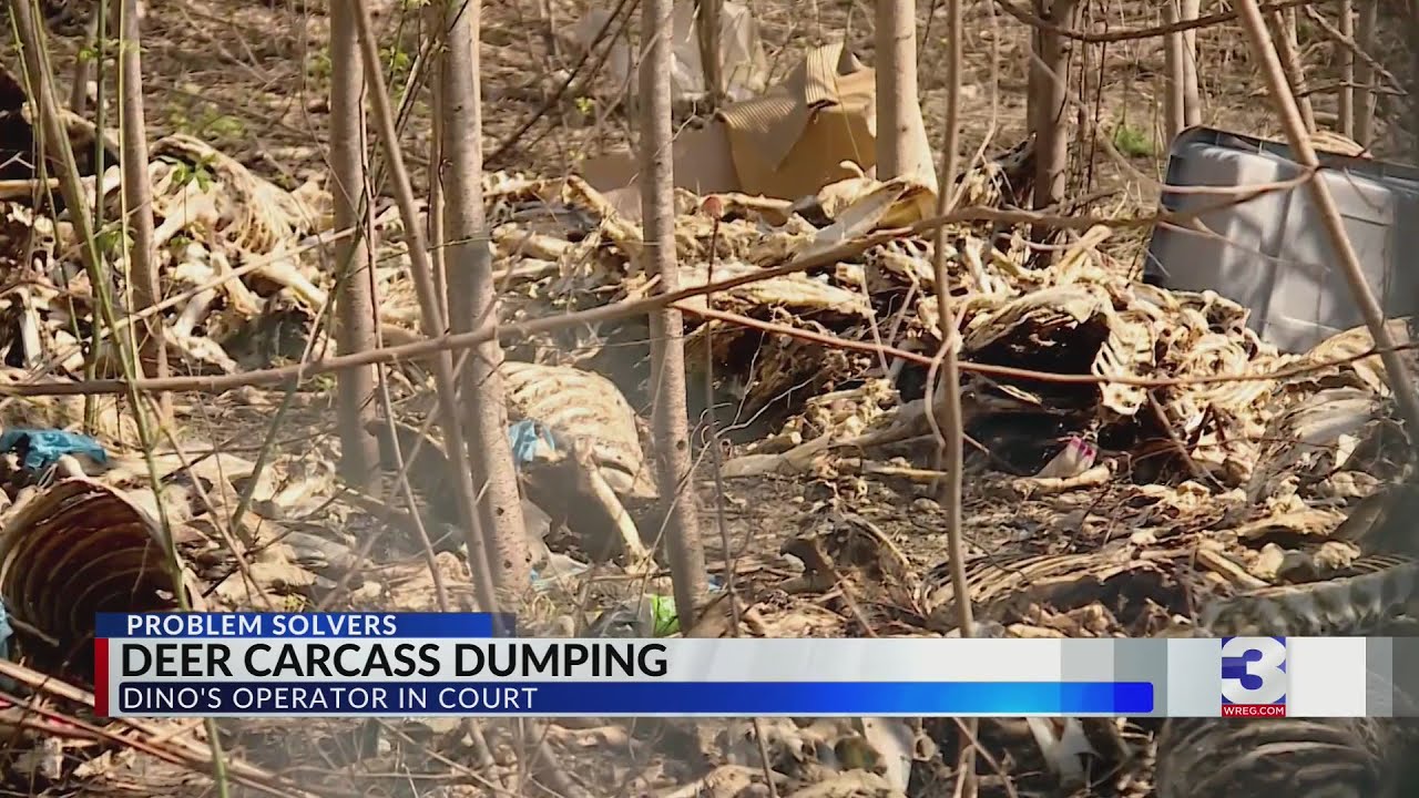 Deer carcass dumping case heads to court - YouTube